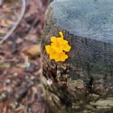 Morrell Nature Sanctuary, British Columbia, Canada - 504 Reviews, Map ...