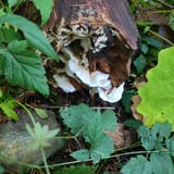 Morrell Nature Sanctuary, British Columbia, Canada - 504 Reviews, Map ...