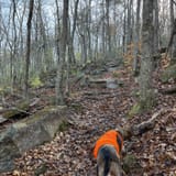 Catamount Hill Trail and One Mile Trail Loop, New Hampshire - 625 ...