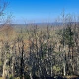 Catamount Hill Trail and One Mile Trail Loop, New Hampshire - 625 ...