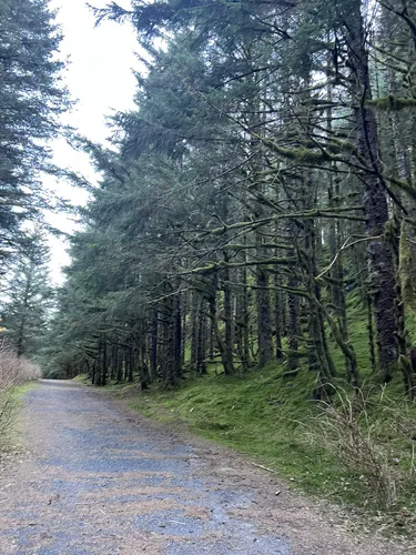 Best Hikes and Trails in Buskin River State Recreational Site | AllTrails