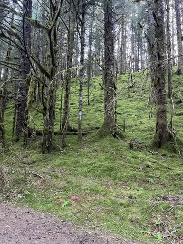 Best Hikes and Trails in Buskin River State Recreational Site | AllTrails