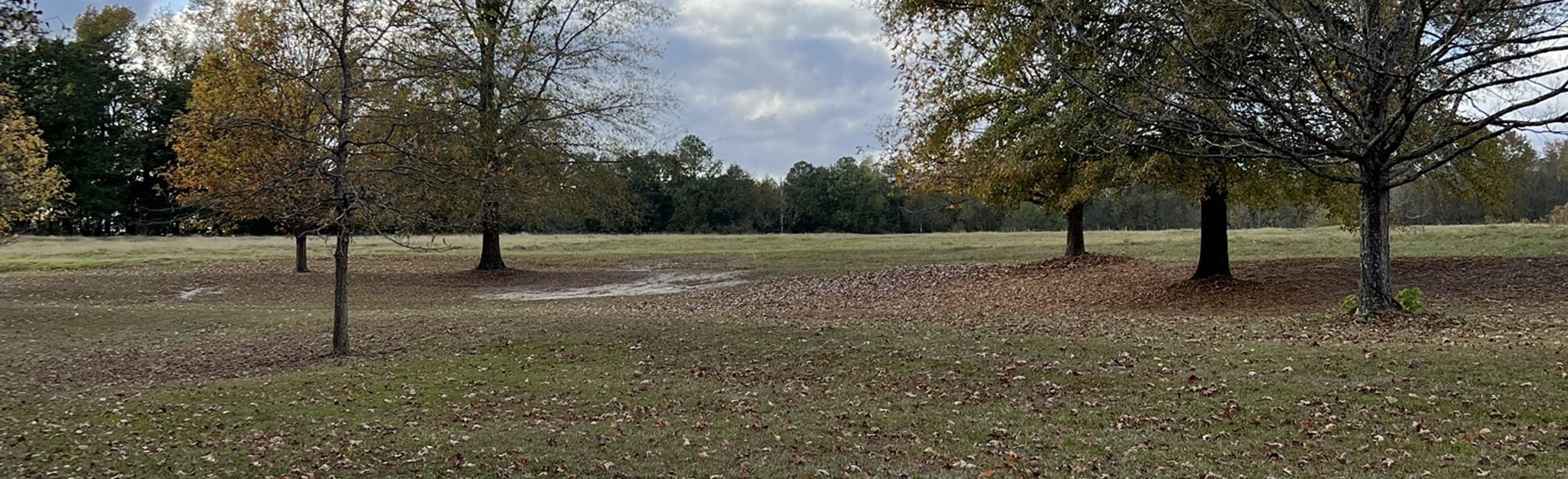 Kiesel Park Outer Loop, Alabama - 35 Reviews, Map | AllTrails