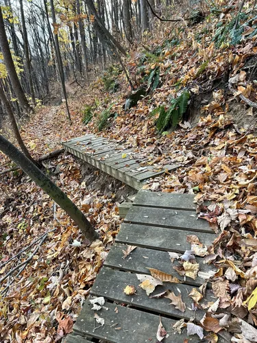 Best Hikes and Trails in Rapidan Wildlife Management Area | AllTrails