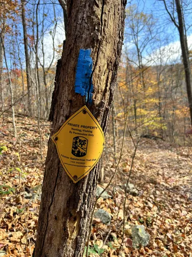 Best Hikes and Trails in Rapidan Wildlife Management Area | AllTrails