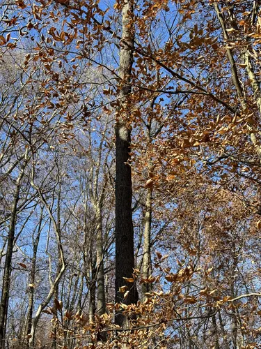 Best Hikes and Trails in Nottingham County Park | AllTrails