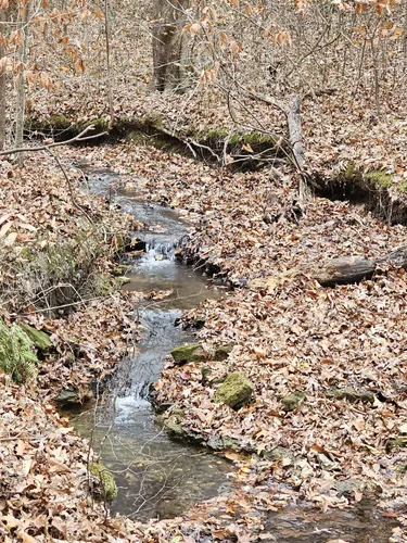 Devils Backbone State Natural Area: de beste routes om te wandelen ...