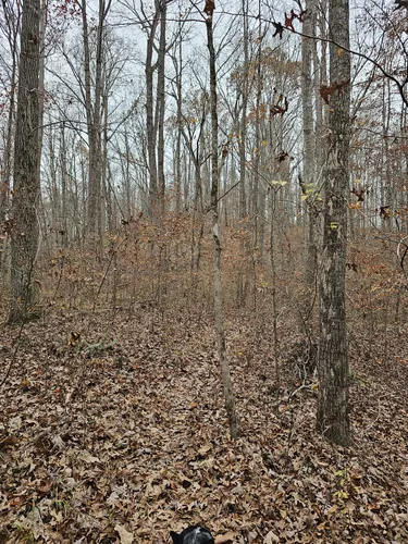 Best Hikes and Trails in Devils Backbone State Natural Area | AllTrails