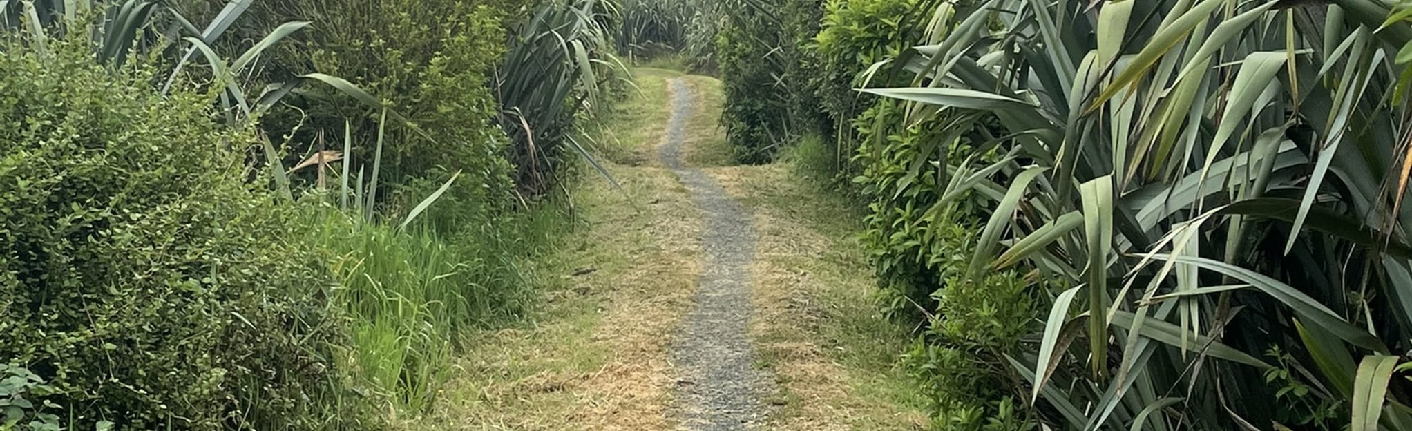 Point Elizabeth from Rapahoe, West Coast, New Zealand - 22 Reviews, Map ...