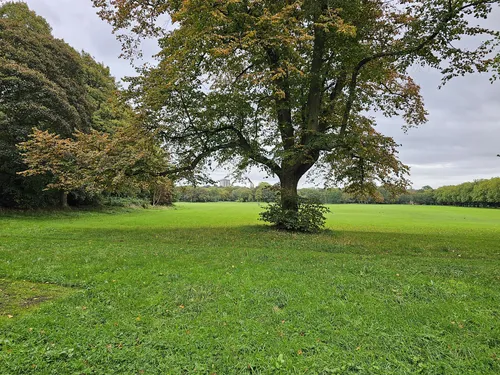 10 Best Trails and Hikes in Liverpool | AllTrails