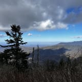 Double Spring Gap Shelter and Kuwohi via Appalachian Trail [CLOSED ...