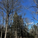 Double Spring Gap Shelter and Kuwohi via Appalachian Trail [CLOSED ...