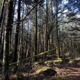 Double Spring Gap Shelter and Kuwohi via Appalachian Trail [CLOSED ...