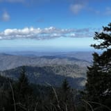 Double Spring Gap Shelter and Kuwohi via Appalachian Trail [CLOSED ...