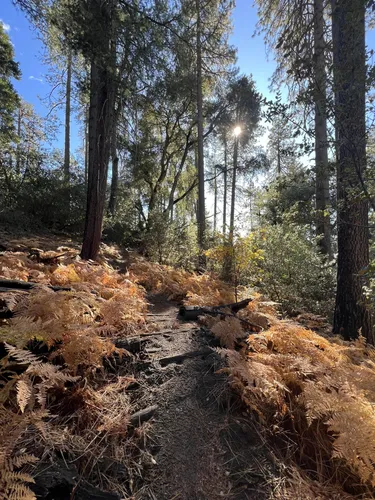 Best Hikes and Trails in Idyllwild | AllTrails
