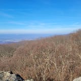 Hawksbill Loop Trail, Virginia - 4,114 Reviews, Map | AllTrails