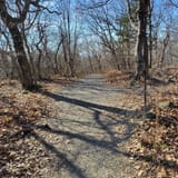 Hawksbill Loop Trail, Virginia - 4,114 Reviews, Map | AllTrails