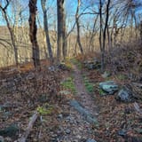 Hawksbill Loop Trail, Virginia - 4,114 Reviews, Map | AllTrails
