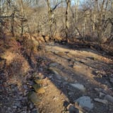 Hawksbill Loop Trail, Virginia - 4,114 Reviews, Map | AllTrails