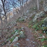 Hawksbill Loop Trail, Virginia - 4,114 Reviews, Map | AllTrails