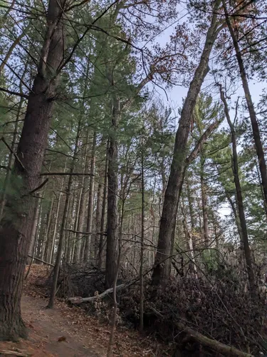 Best Hikes and Trails in Provin Trails Park | AllTrails