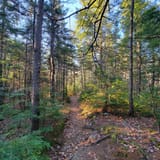 Mount Crawford via Davis Path Trail, New Hampshire - 986 Reviews, Map ...