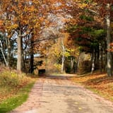 Waterfront Park to Island Line Trail, Vermont - 969 Reviews, Map ...
