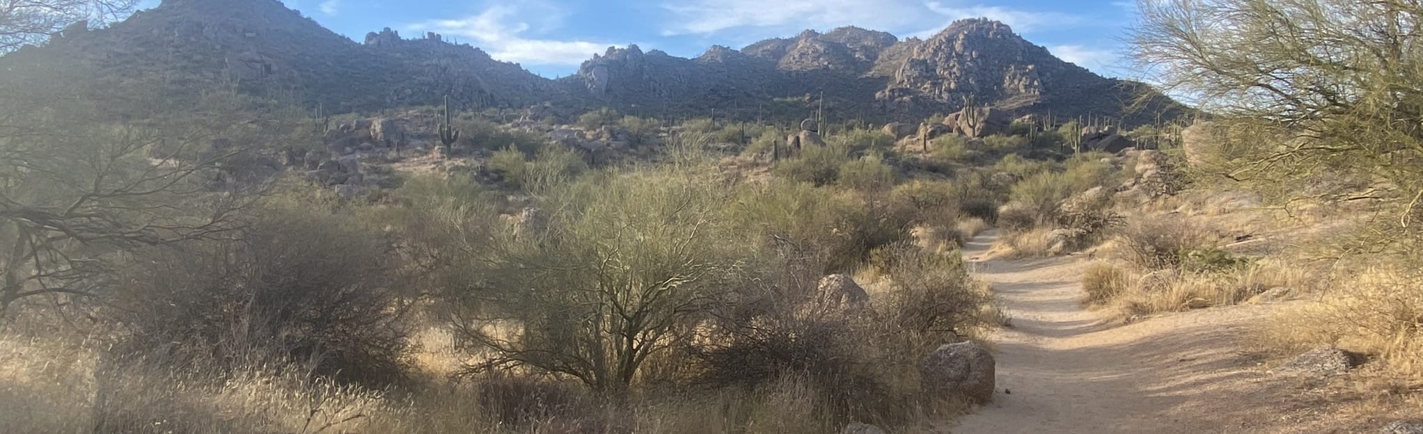 Bootlegger and Granite Mountain Loop, Arizona - 1,165 Reviews, Map ...