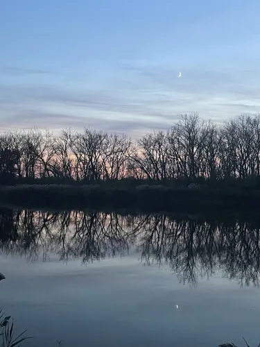Best Hikes and Trails in Tifft Nature Preserve | AllTrails