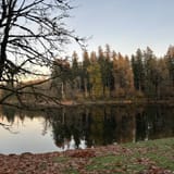 Nolte State Park Deep Lake, Washington - 580 Reviews, Map | AllTrails