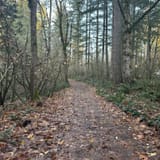Nolte State Park Deep Lake, Washington - 580 Reviews, Map | AllTrails