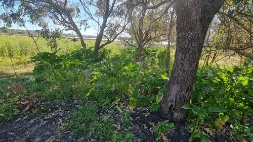 Best Hikes and Trails in Thomsons Lake Nature Reserve | AllTrails