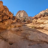 Capitol Gorge to Tanks Trail, Utah - 1,267 Reviews, Map | AllTrails