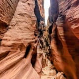 Wire Pass Trail, Utah - 2,681 Reviews, Map | AllTrails