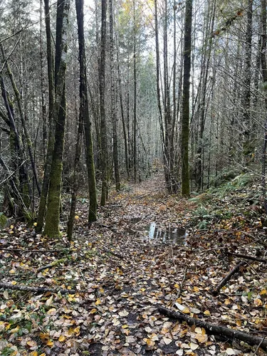 2023 Best Kid Friendly Trails in Paldi | AllTrails