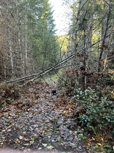 2023 Best Kid Friendly Trails in Paldi | AllTrails