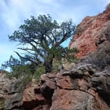 Parsons Trail, Arizona - 743 Reviews, Map | AllTrails