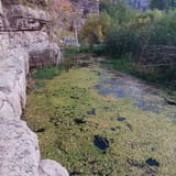 Parsons Trail, Arizona - 743 Reviews, Map | AllTrails