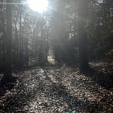 Mount Toby Trail, Massachusetts - 946 Reviews, Map | AllTrails