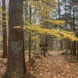 Mount Toby Trail, Massachusetts - 1,021 Reviews, Map | AllTrails