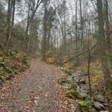 Mount Toby Trail, Massachusetts - 946 Reviews, Map | AllTrails