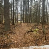 Mount Toby Trail, Massachusetts - 1,021 Reviews, Map | AllTrails