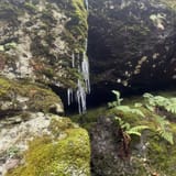 Mount Toby Trail, Massachusetts - 946 Reviews, Map | AllTrails