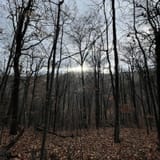 Daniel Ridge Loop, North Carolina - 1,793 Reviews, Map | AllTrails