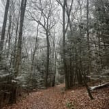 Mount Toby Trail, Massachusetts - 946 Reviews, Map | AllTrails