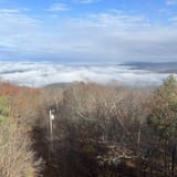 Mount Toby Trail, Massachusetts - 946 Reviews, Map | AllTrails