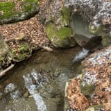 Mount Toby Trail, Massachusetts - 946 Reviews, Map | AllTrails