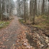 Mount Toby Trail, Massachusetts - 946 Reviews, Map | AllTrails