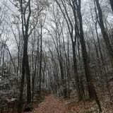 Mount Toby Trail, Massachusetts - 946 Reviews, Map | AllTrails