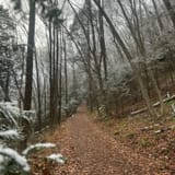 Mount Toby Trail, Massachusetts - 946 Reviews, Map | AllTrails
